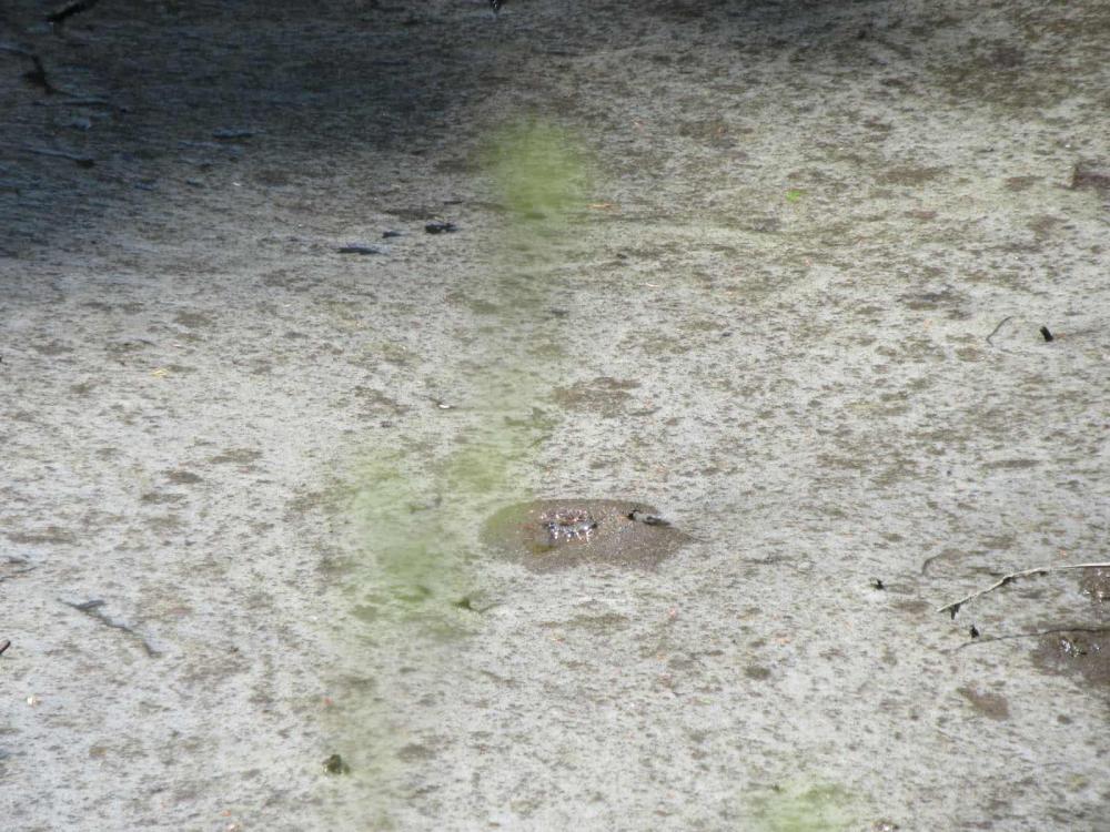 Lots of Helpers – Our family's life in New Zealand