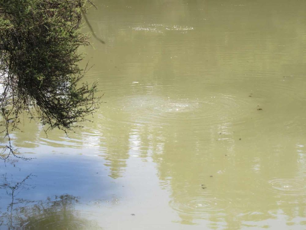 Lots of Helpers – Our family's life in New Zealand