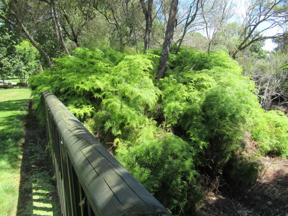 Lots of Helpers – Our family's life in New Zealand