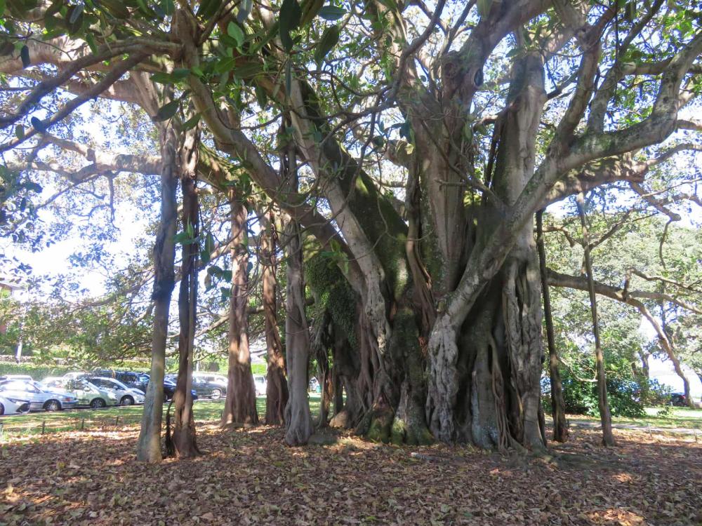 Lots of Helpers – Our family's life in New Zealand