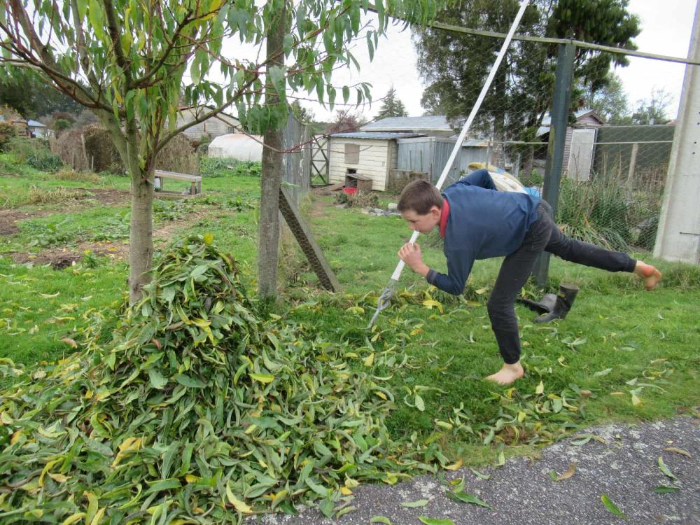 Lots of Helpers – Our family's life in New Zealand