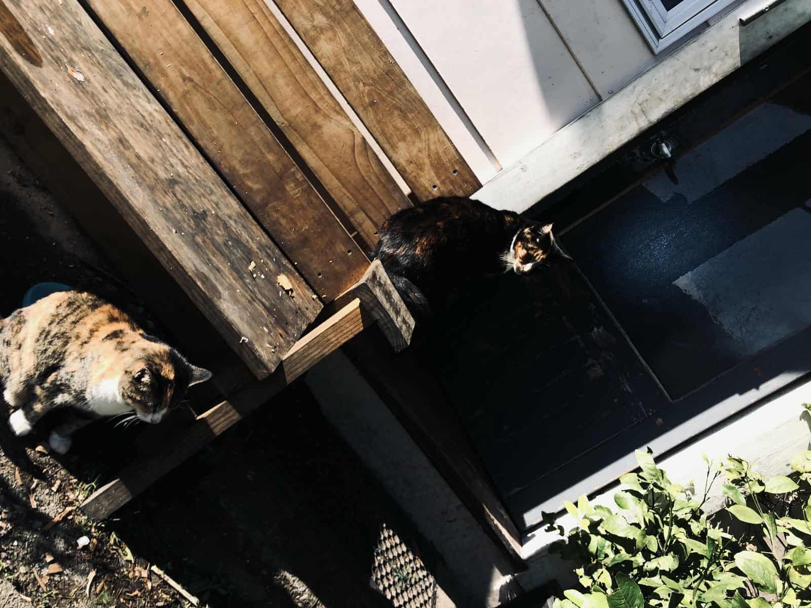 Lots of Helpers – Our family's life in New Zealand